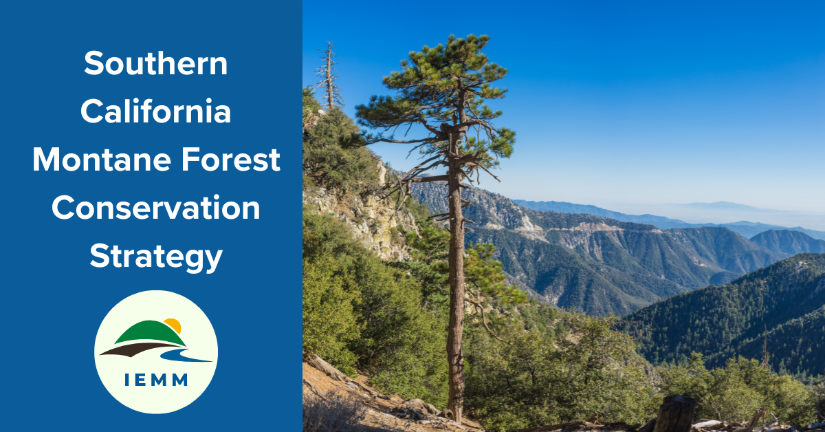Southern California Montane Forest Conservation Strategy | Institute ...